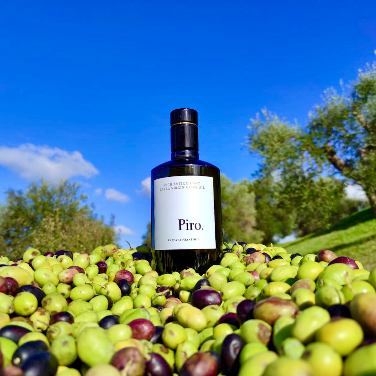 Piro and the Organic Certification Dilemma – Olio Piro.