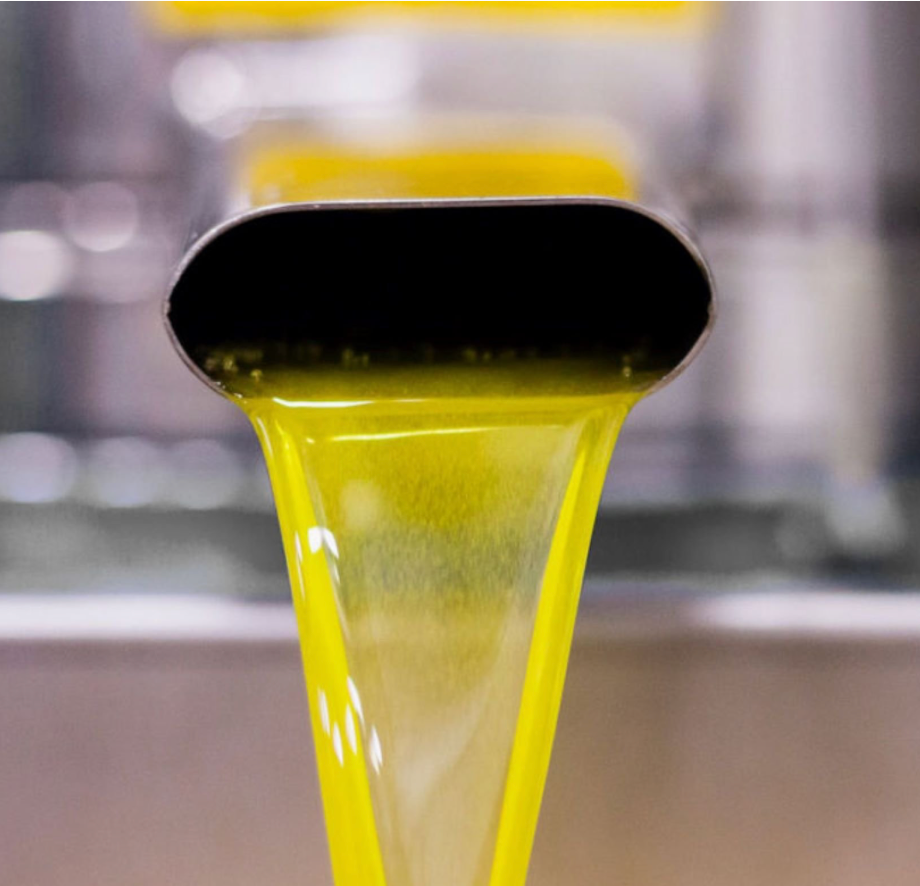 Why Is Olive Oil Healthy? Power of Antioxidants - Olio Piro – Olio Piro.